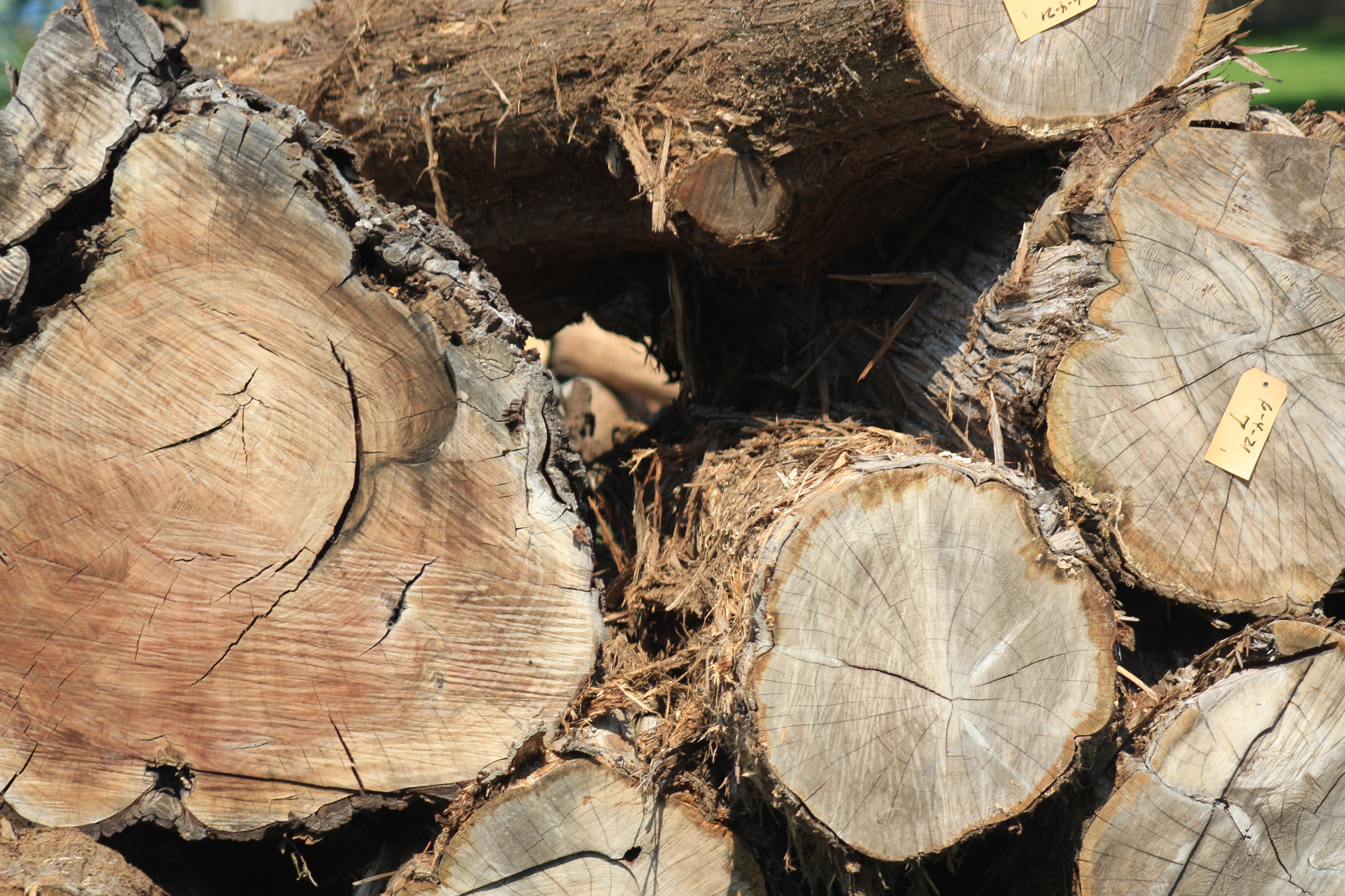 Against the Grain Lumber